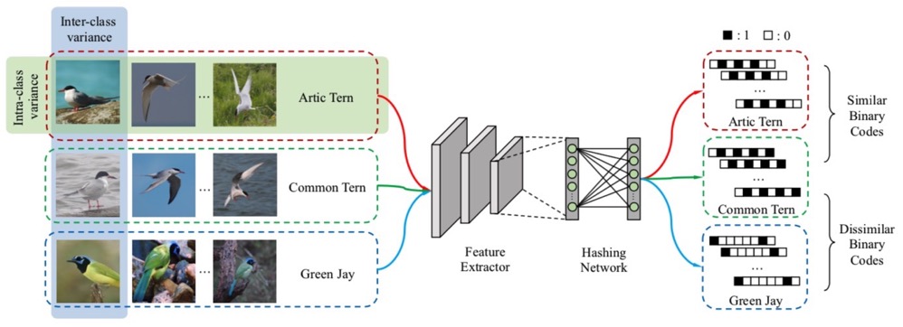 Xiu-Shen WEI （魏秀参）– Papers